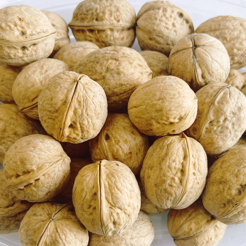 Chinese walnut kernel top quality - Gulfood 2026