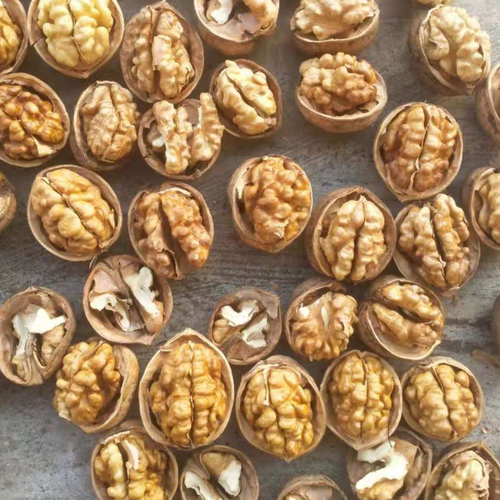 Chinese walnut kernel top quality - Gulfood 2026
