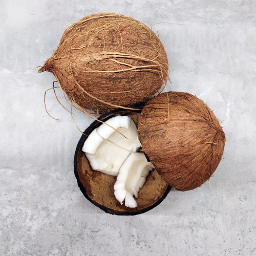 Desiccated Coconut (DC) - Gulfood 2026