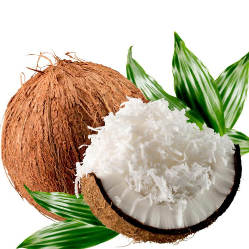 Desiccated Coconut (DC) - Gulfood 2026