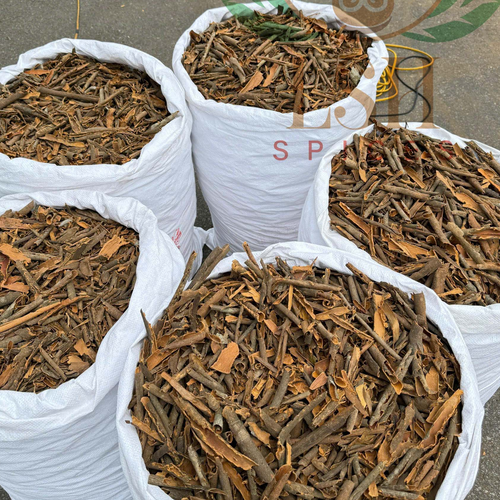 Cassia Skin - Gulfood 2026