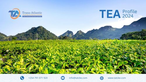 Trans Atlantic Tea Catalogue - Gulfood 2026