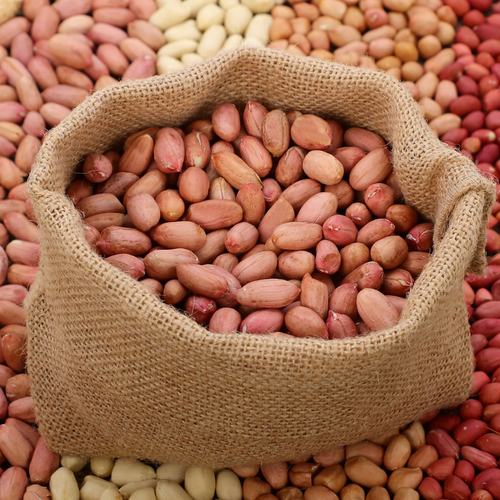 Peanut Kernels Long Shape - Gulfood 2026