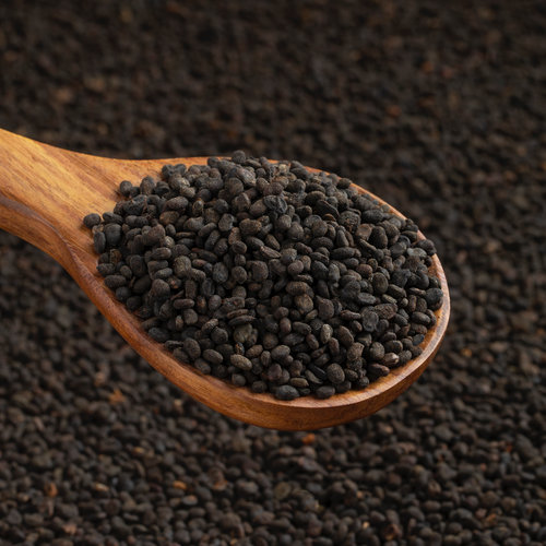 Zedoary Root (Sand Ginger) - Gulfood 2026