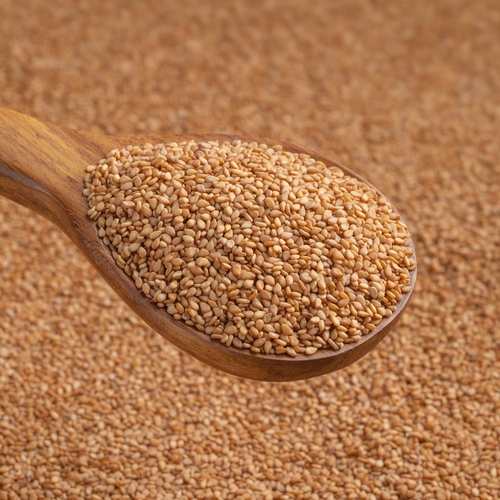 Golden Sesame seeds - Gulfood 2026