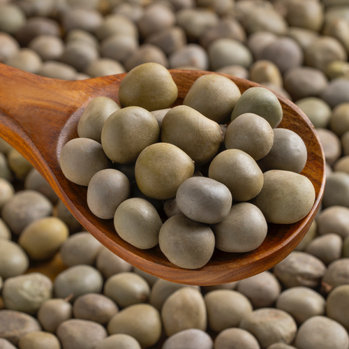 Himej - harad - Gulfood 2026