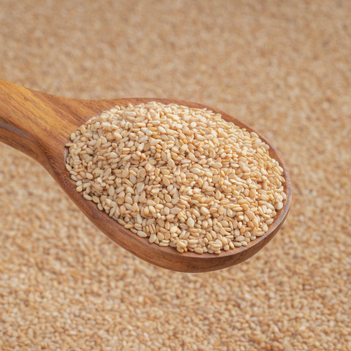 Golden Sesame seeds - Gulfood 2026