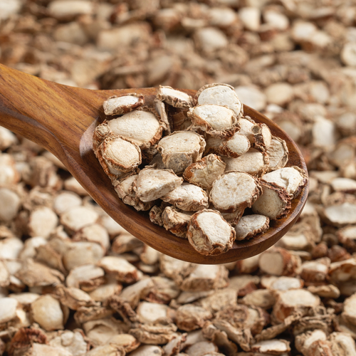 Zedoary Root (Sand Ginger) - Gulfood 2026