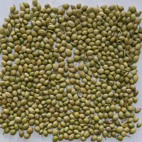 CORIANDER SEED PARROT - Gulfood 2026