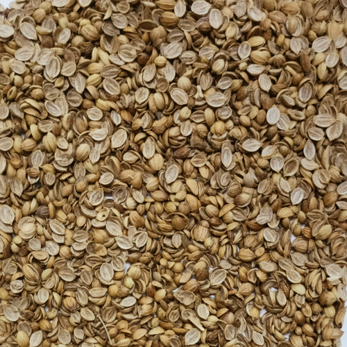 CORIANDER SPLIT - Gulfood 2026