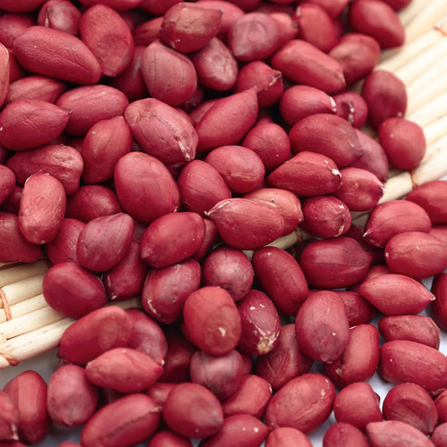 Peanuts kernel - Gulfood 2026