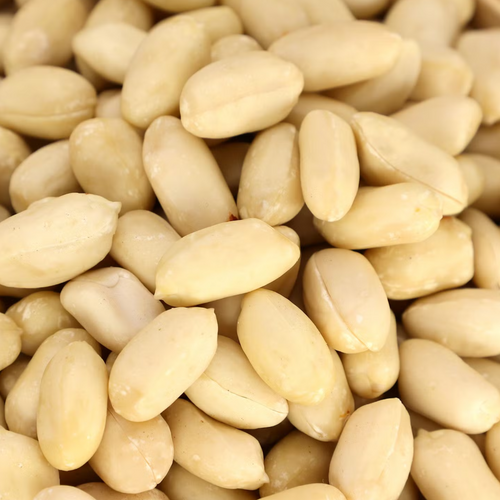Peanuts kernel - Gulfood 2026
