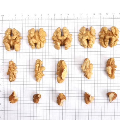 Walnut Kernels - Gulfood 2026