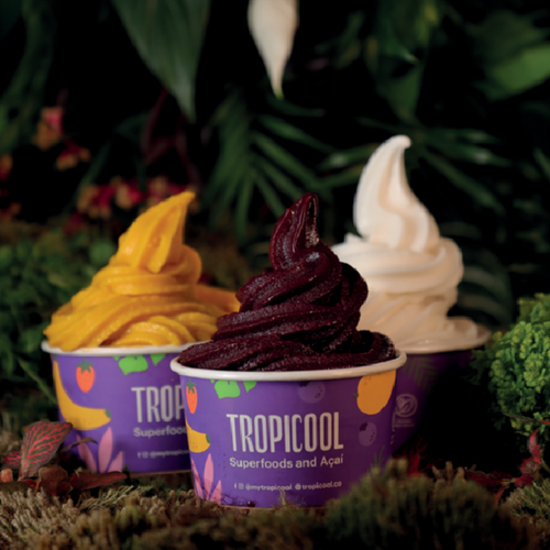 Tropicool Coconut Pulp - Gulfood 2026