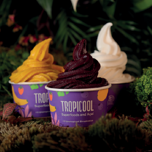 Tropicool Açai Pulp - Gulfood 2026