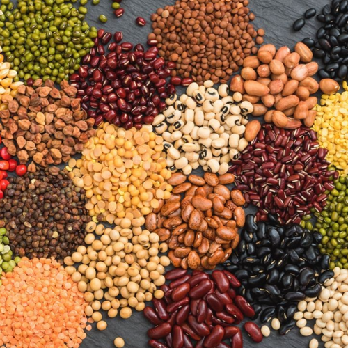 "ROASTED CHICKPEAS GRAM" - Gulfood 2026