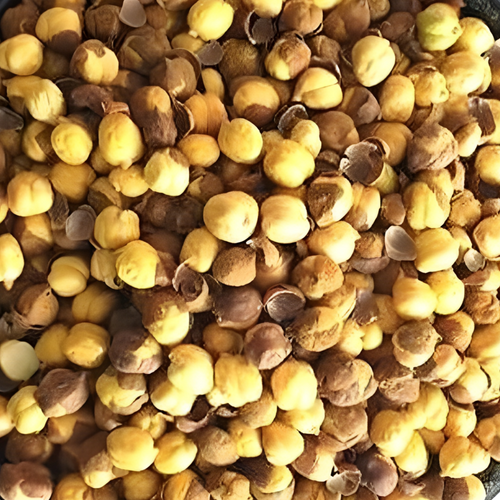 "ROASTED CHICKPEAS GRAM" - Gulfood 2026
