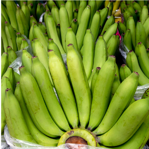 CAVENDISH BANANA - Gulfood 2026