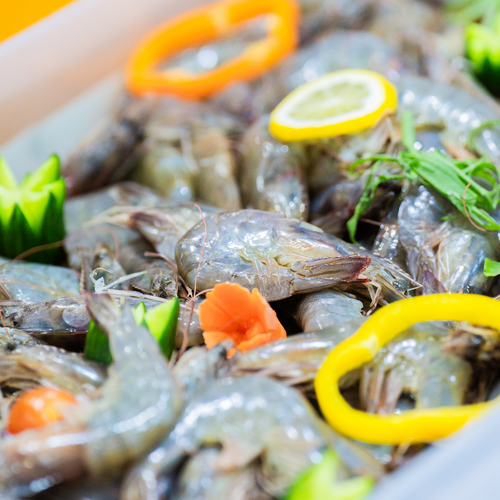 Osara Shrimp - Gulfood 2026