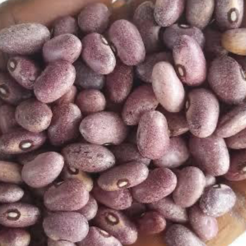 grey soya beans - Gulfood 2026