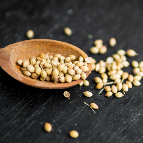 Coriander Seeds - Gulfood 2026