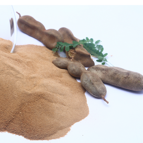 Dehydrated Tamarind Powder - Gulfood 2026