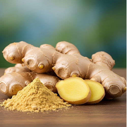 Premium Quality Dried Ginger Powder - Gulfood 2026