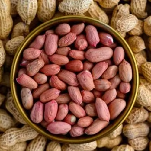 Premium Quality Bold / Java Peanuts - Gulfood 2026