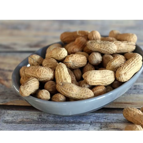 Premium Quality Shell Peanuts - Gulfood 2026