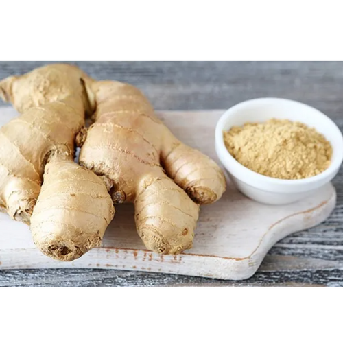 Ginger - Gulfood 2026