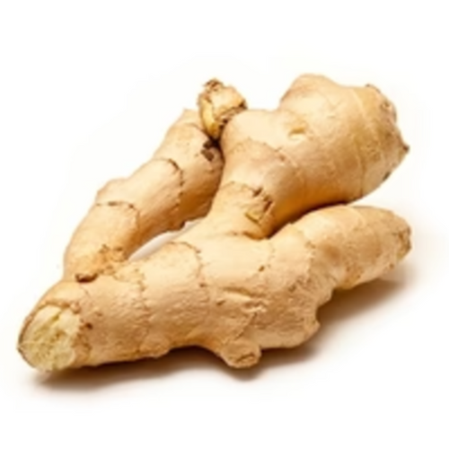 Ginger - Gulfood 2026
