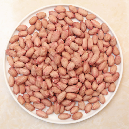 peanut kernels - Gulfood 2026