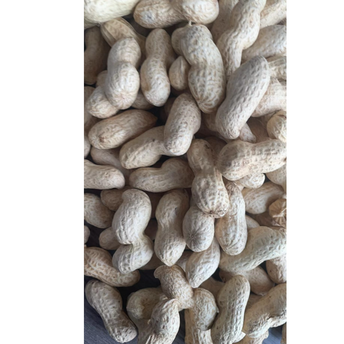 peanut in shell - Gulfood 2026