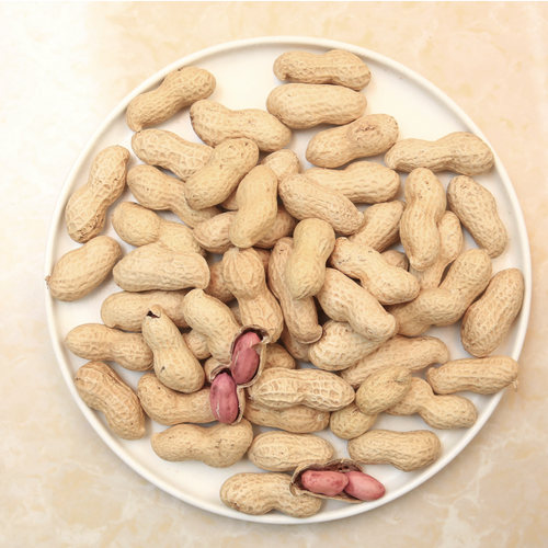 peanut in shell - Gulfood 2026