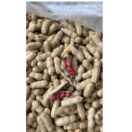 peanut in shell - Gulfood 2026