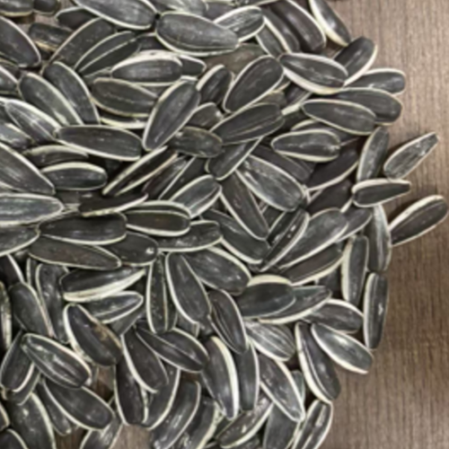 sunflower seeds - Gulfood 2026