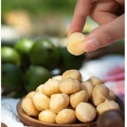 Macadamia nut in shell or Kernels - Gulfood 2026