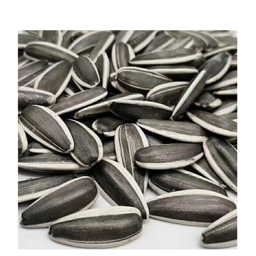 sunflower seeds,pumpkin seeds,walnuts - Gulfood 2026