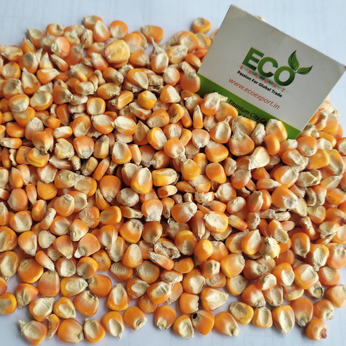 Yellow Maize - Gulfood 2026