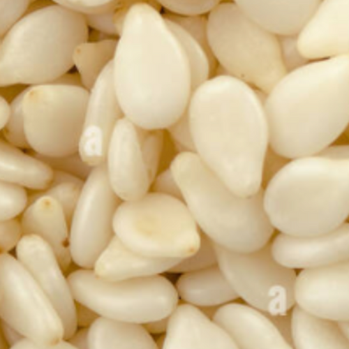 Sesame - Gulfood 2026