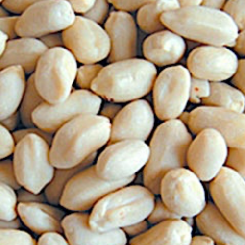 BLANCHED-PEANUT-KERNELS - Gulfood 2026