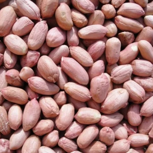 PEANUT-KERNELS-LONG-TYPE - Gulfood 2026