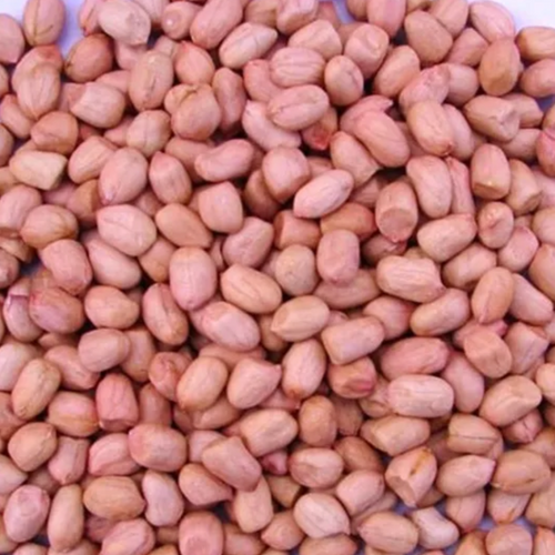 PEANUT-KERNELS-ROUND-TYPE - Gulfood 2026