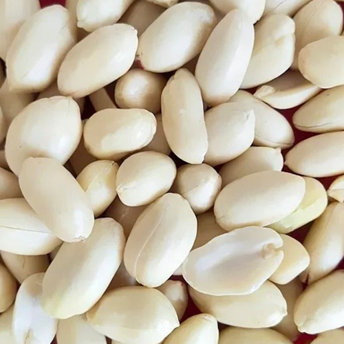BLANCHED-PEANUT-KERNELS - Gulfood 2026
