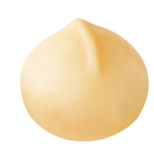 50g Wasabi Macadamia Nuts - Gulfood 2026