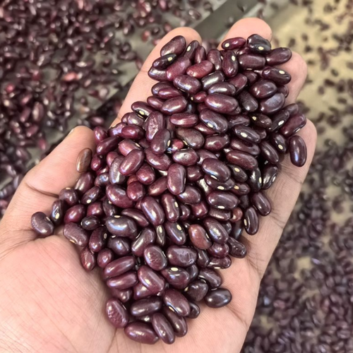 Red Kidney bean, white kidney bean, pinto bean, green mung bean, soya ...