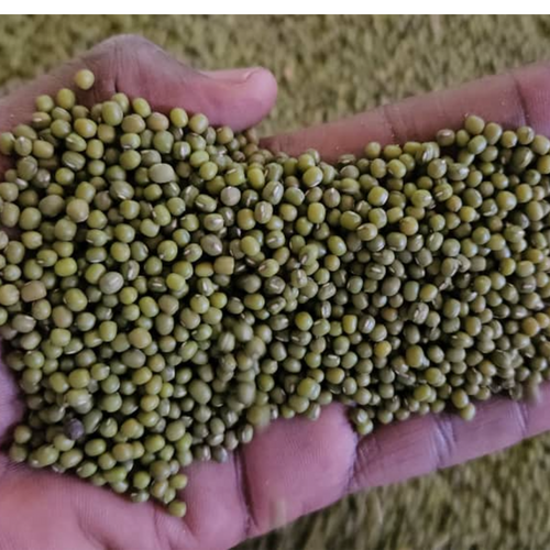 Red Kidney bean, white kidney bean, pinto bean, green mung bean, soya ...