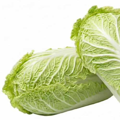 CHINESE CABBAGE - Gulfood 2026
