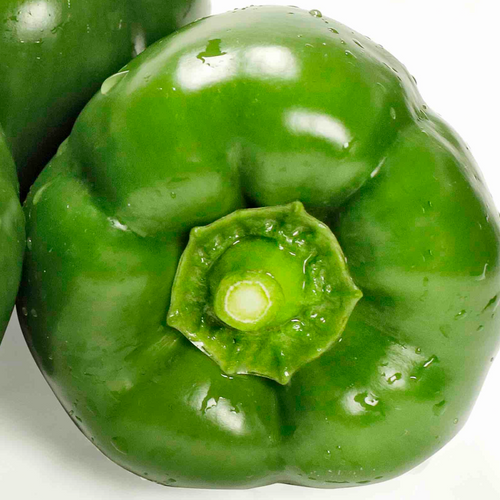 GREEN BLOCKY PEPPERS (Capsicum Green) - Gulfood 2026