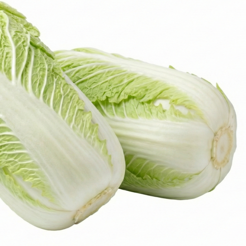 CHINESE CABBAGE - Gulfood 2026